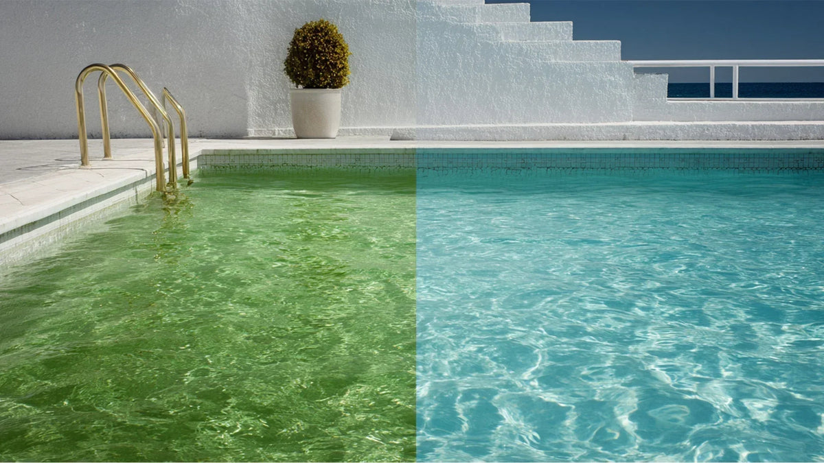 Pool Algae 101: Identification, Removal, and Prevention – Dreame Pool